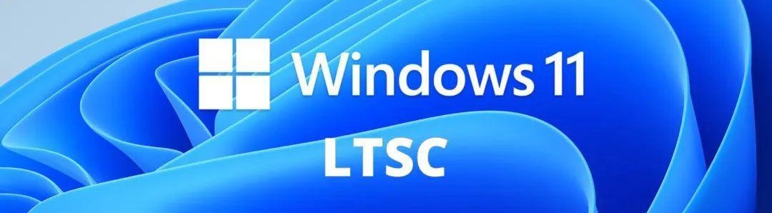 Windows 11 LSTC 安装和使用问题